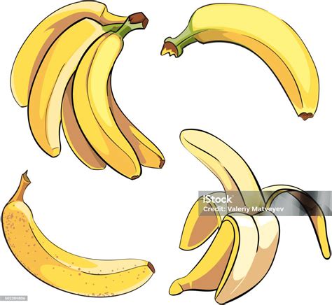 Vetores De Bananas Dos Desenhos Animados Vetor Definido Em Estilo E