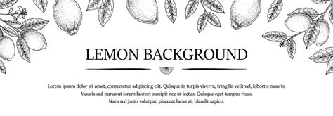 손으로 그린 수평 빈티지 레몬 배너 흰색으로 격리된 스케치 스타일의 벡터 그림입니다 인쇄 패키지 카드 디자인 0명에 대한 스톡 벡터 아트 및 기타 이미지 Istock