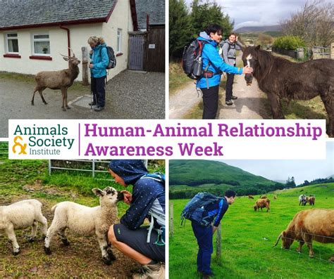 Монголчууд бидний хувьд Дэлхийгээр аялсан Монголчууд