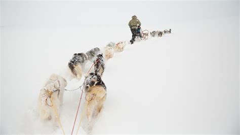 Chris Alger On Linkedin How Executive Teams Shape A Companys Purpose