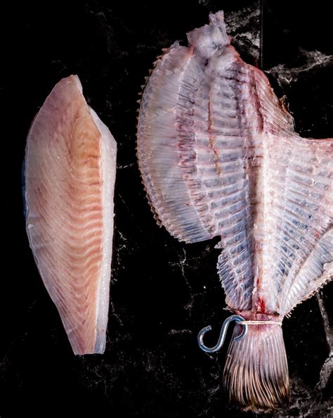 Dry Aging Fish In The Dry Ager® Cabinet