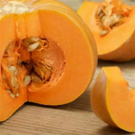 Jual 20 Biji Biji Bibit Tanaman Buah Labu Kuning Besar Waluh Madu
