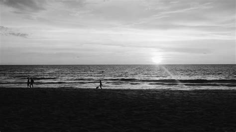 On Phuket Island Thailand 19018318 Stock Video At Vecteezy