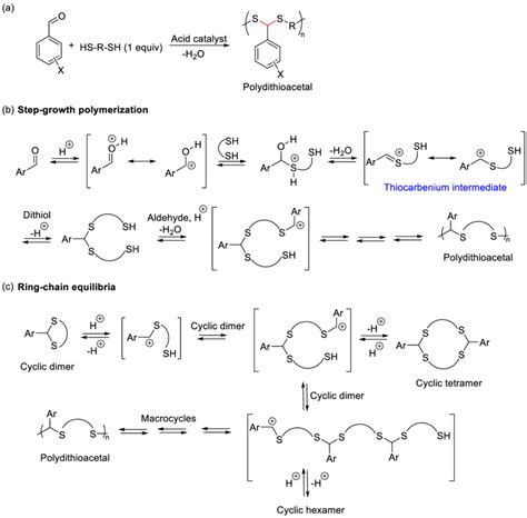 Formation Of Polydithioacetals Pdtas A Generic Reaction Scheme For