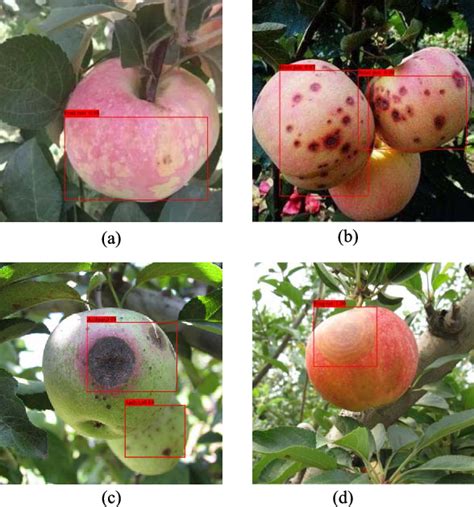 Figure 10 From Multiple Diseases And Pests Detection Based On Federated
