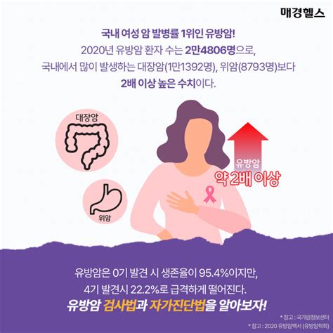 대장암·위암보다 발병률 2배 이상유방암 자가진단법은