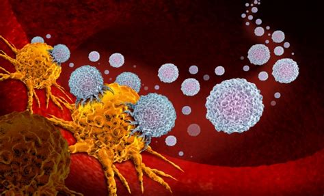 Immunotherapy With Libtayo Prolongs Survival In Patients With
