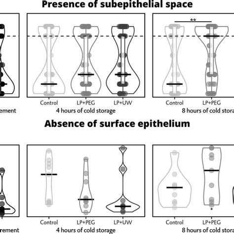 Subepithelial Space Score Developed For This Study Download