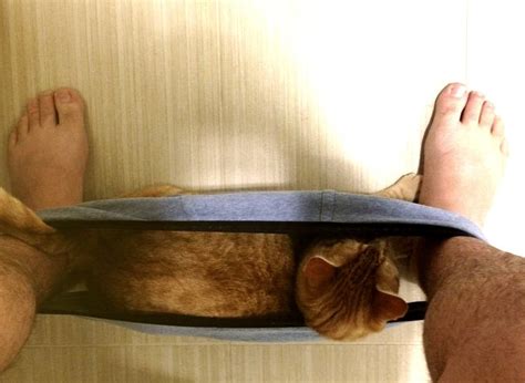 Adorable Kitty Logan Clark