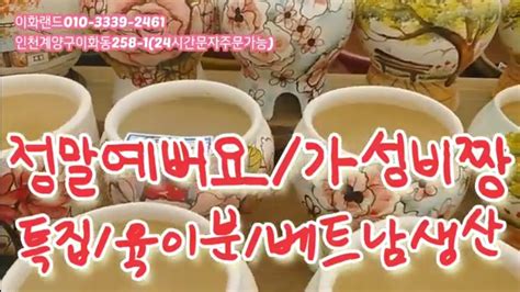 대박가격 예뿐화분 가성비짱 베트남 화분백화점 구경오세요 이화랜드010 3339 2461 Youtube