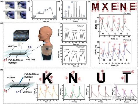 Afm：高抗氧化和自愈合mxene基水凝胶 知乎