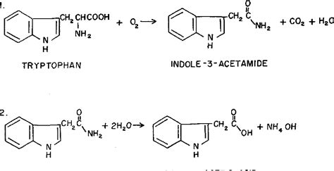 Figure 1 From Microbial Synthesis And Degradation Of Indole 3 Acetic