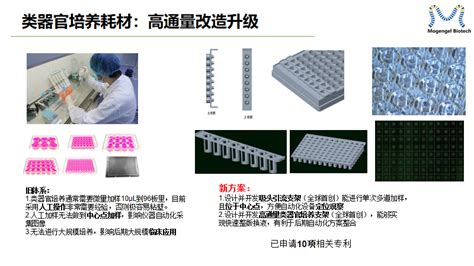【展会风采】模基生物热烈祝贺2023 第三届 3d细胞培养与类器官研讨会圆满举办！ 知乎