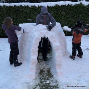 How To Build An Igloo
