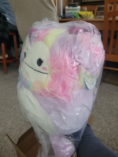 She Came In A Cube Shape Lol The Box Was So Snug My Kitties Had To