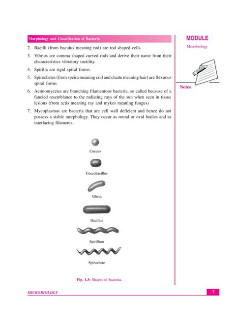 Classify Bacteria Pdf