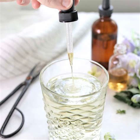 Herbal Remedy Bladder Incontinence Bhealthy Sa