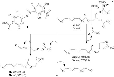 Scheme 1 Proposed Fragmentation Patterns Of 2 And 3 Download