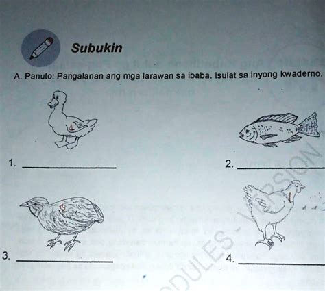 SOLVED A Panuto Pangalanan Ang Mga Larawan Sa Ibaba Isulat Sa