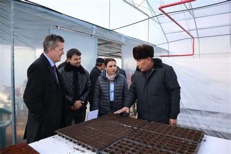 В Турсунзаде (Таджикистан) открылась новая теплица для выращивания ...