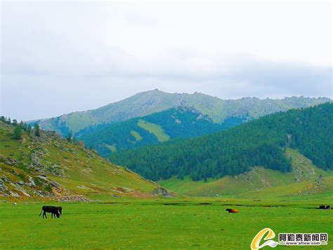 新疆富蕴县萨依恒布拉克夏牧场美丽风景