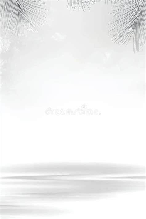Element Object For Spring Summer Showcasing A Shadow Palm Leaves
