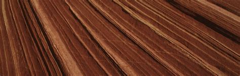 Rock Layers Answers In Genesis