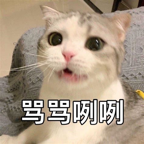 表情包你离我远一点