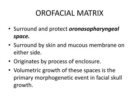 Functional Matrix Hypothesis Revisited Ppt
