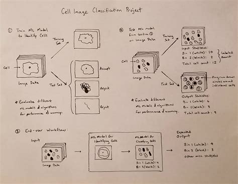 Image Classification Using Tensorflow