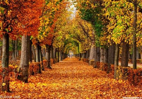 دانلود عکس های حافظ شیرازی