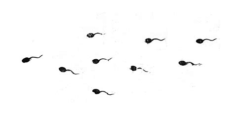 Protecting Reproductive Health The Daily Climate