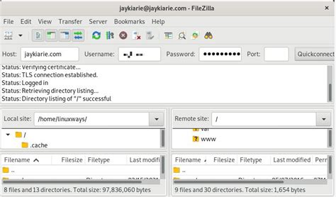 How To Install Filezilla On Debian 10 Linuxways