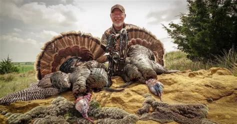 15 Expert Tips For Early Season Turkey Hunting Field And Str