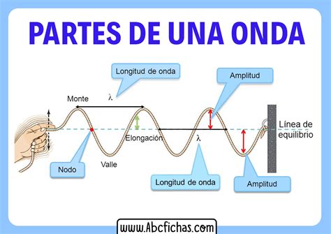 Como Se Formam As Ondas Revoeduca