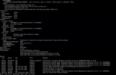 apiserver启动失败提示 failed to create cache error ERR invalid password KubeSphere 开发者社区