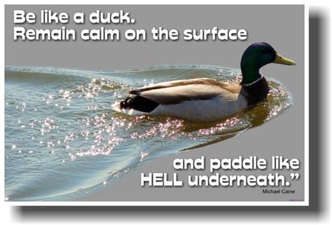Like A Duck Quotes Quotesgram