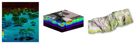 neon ambassador workshop series puts a spotlight on derived data