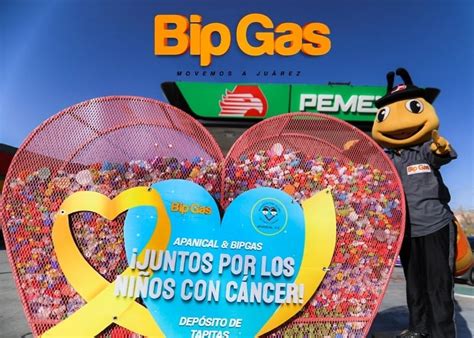 Recauda Bipgas cerca de 5 mil kilos de tapitas para ayudar a niños con