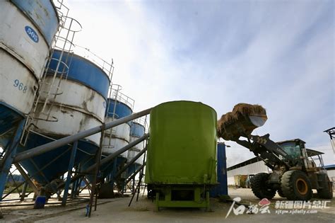 高质量发展调研行丨创锦农牧业实现三产闭环全产业链 天山网 新疆新闻门户
