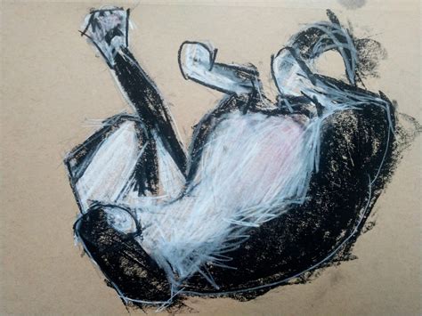 Sketch Of My Cat Sleeping Rminimalcatart