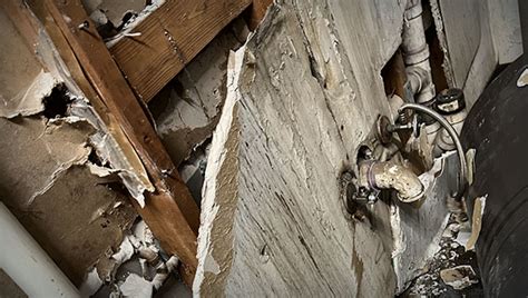 Mold In New Construction Fdp Mold Remediation