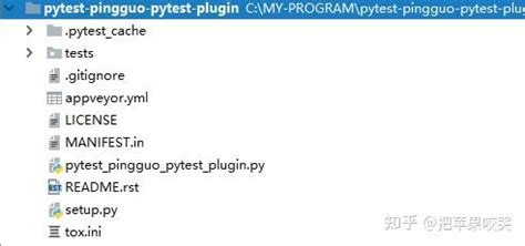 Pytest Pip