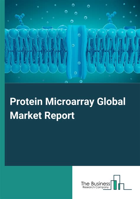protein microarray market size growth industry analysis 2034