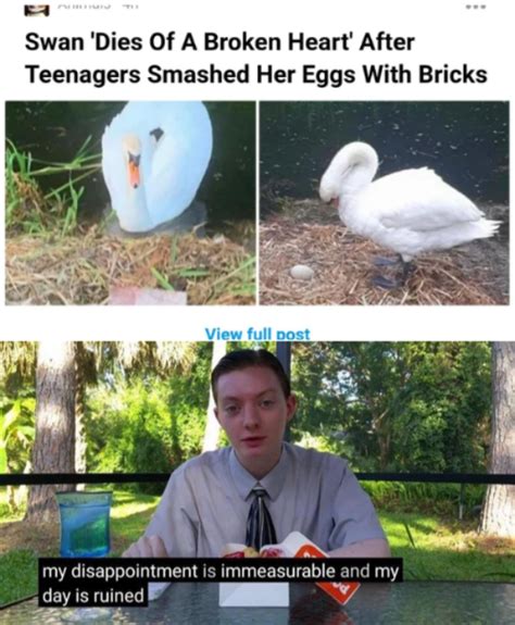 My Disappointment Is Immeasurable R Memes