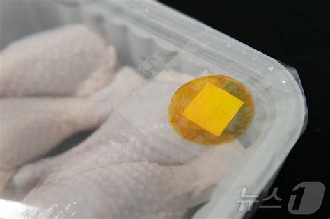 부패 확인 필름 한장으로…농촌진흥청 닭고기 신선도 확인 필름 개발