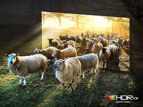 65 Class Samsung Neo Qled 8k Qn900c Tvs Qn65qn900cfxza Samsung Us