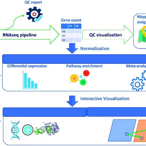 Visualization Of Pathway Enrichment Across Omics And Comparisons By Download Scientific