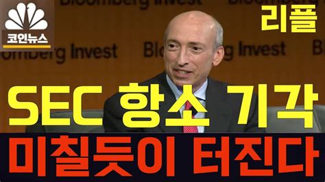 리플 Xrp 긴급 속보 리플 장기 투자 홀더분들만 보세요 Youtube