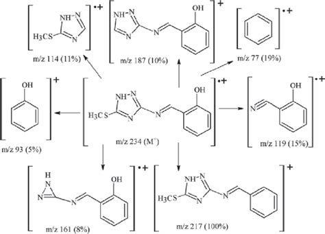 Proposed Mass Fragmentation Pattern Of L 1 Download Scientific Diagram